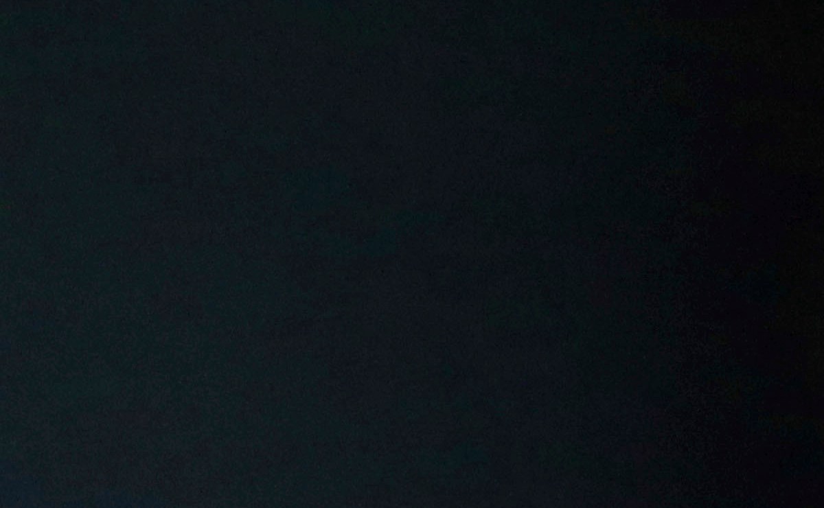 “Lo adoran”: Jay-Z vuelve a defender a Bad Bunny en medio de ataques en ...